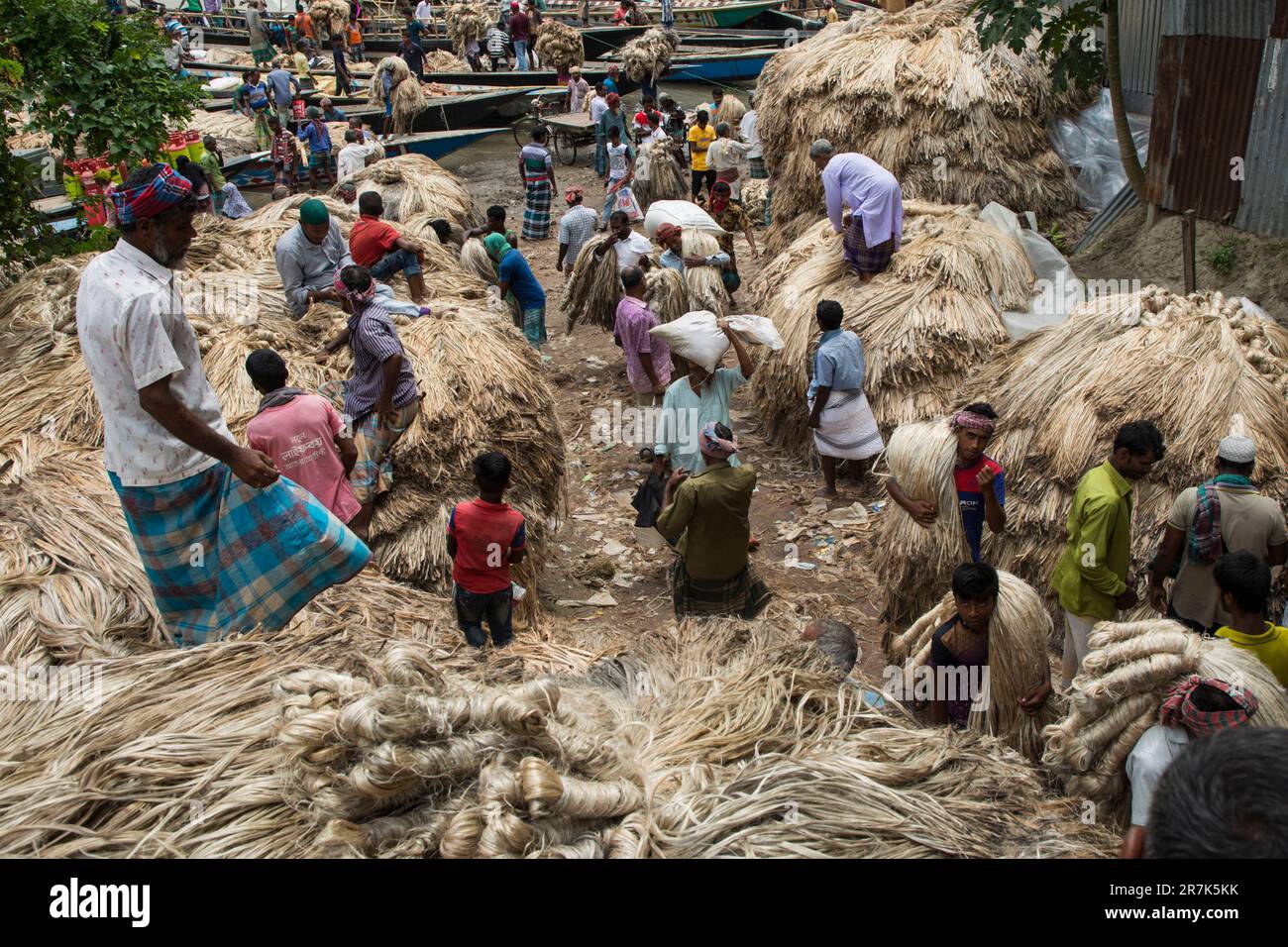 Jute fibre market hi-res stock photography and images - Alamy