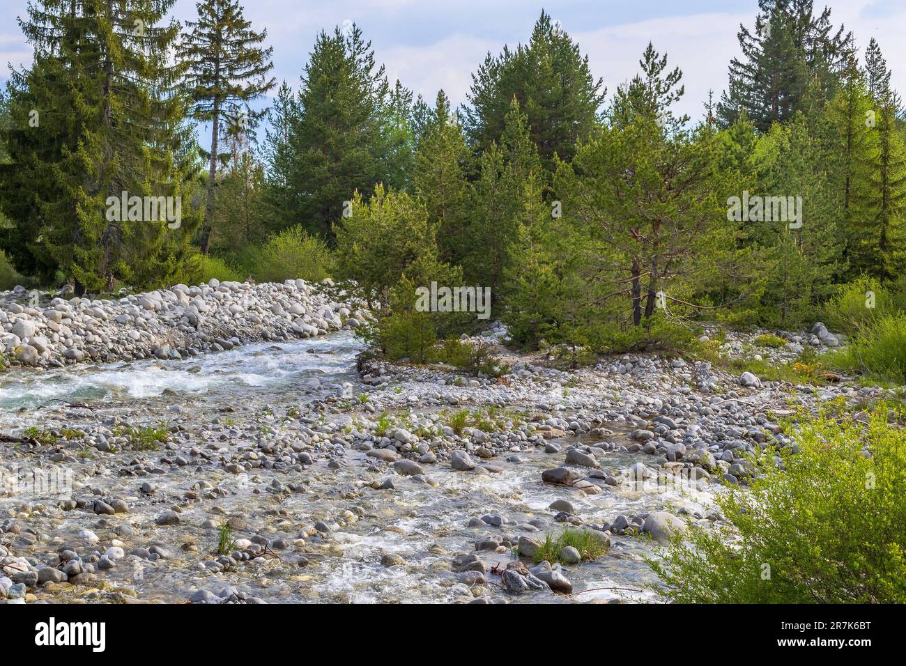Blue river spring landscape with green woods, Bansko, Bulgaria Stock ...