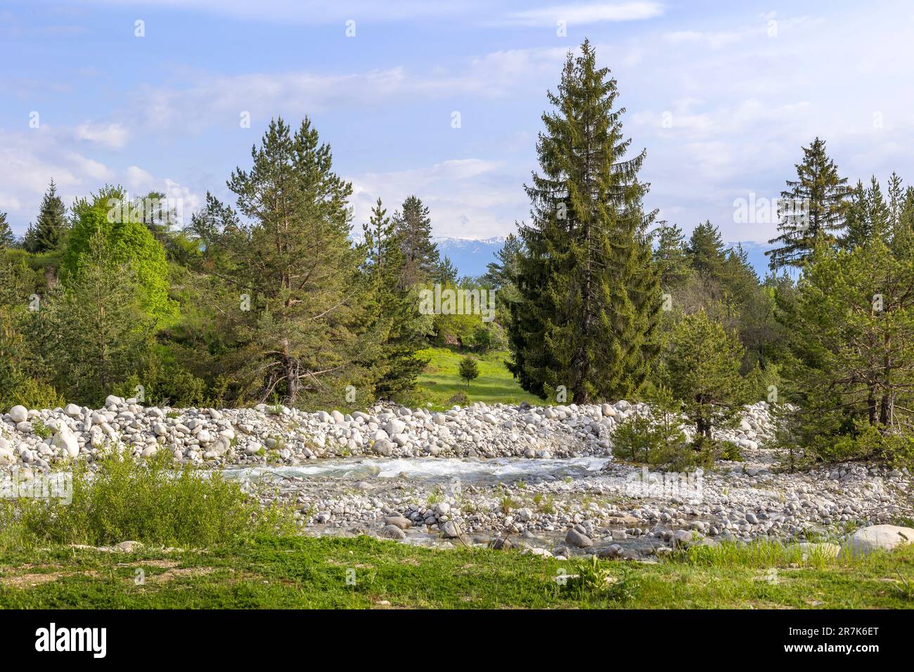 Bansko, Bulgaria spring landscape with river Glazne, green trees, snow ...