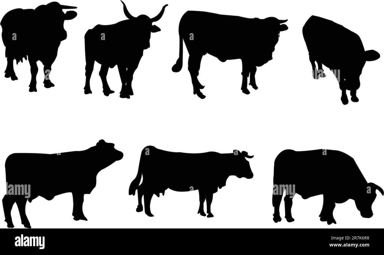 cows collection vector Stock Vector Image & Art - Alamy