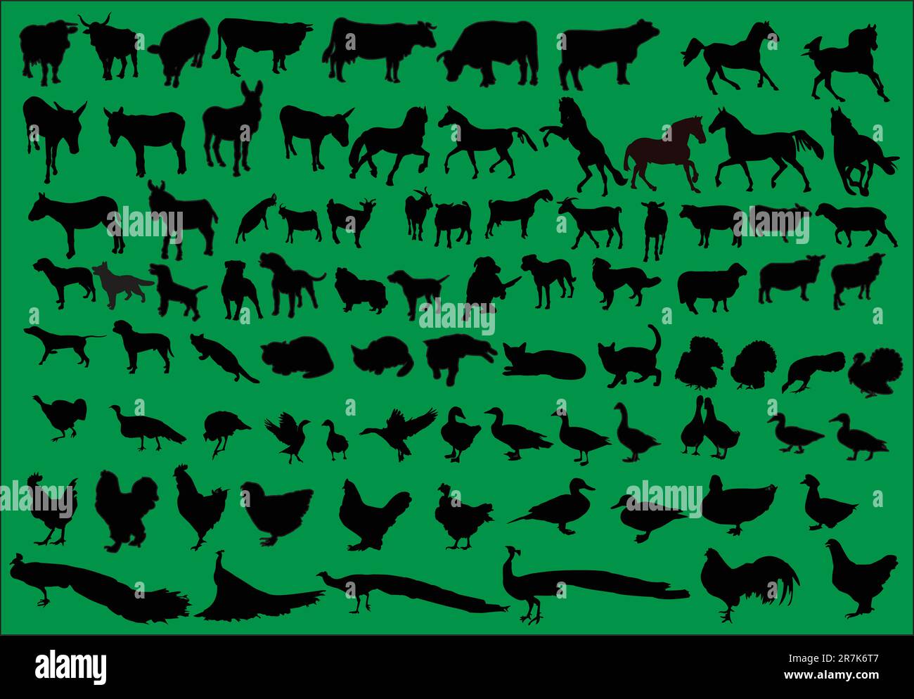 farm animal - vector Stock Vector Image & Art - Alamy