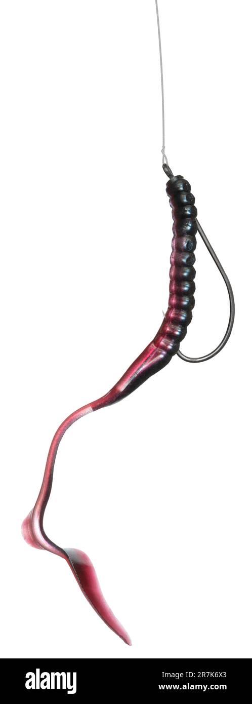 Fishing line and hook on a rubber fishing worm rigged for weedless ...
