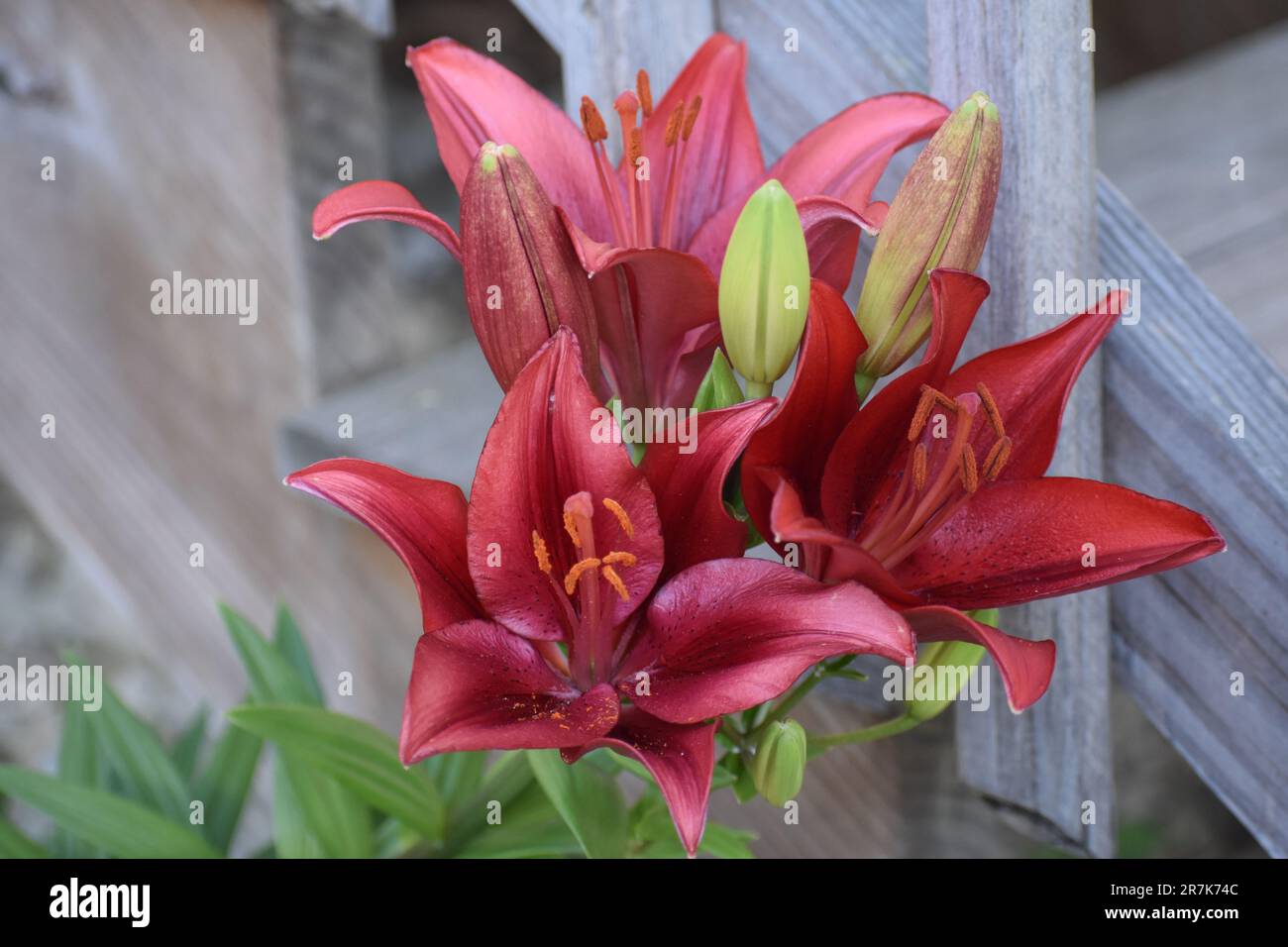 Part arrangement hi-res stock photography and images - Alamy