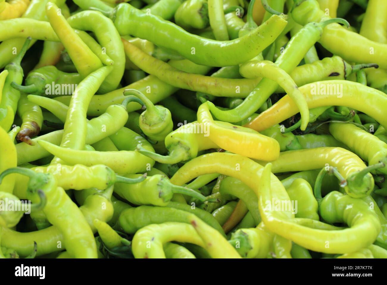 green chili food ingredient as nice texture Stock Photo - Alamy