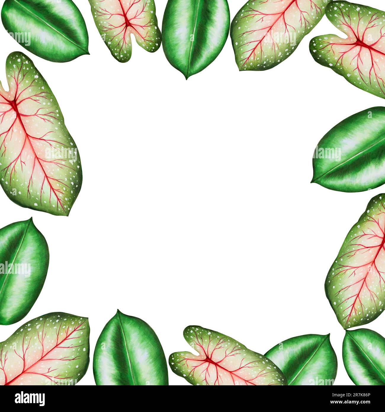 Watercolor frame with realistic tropical leafs. Illustration of ...