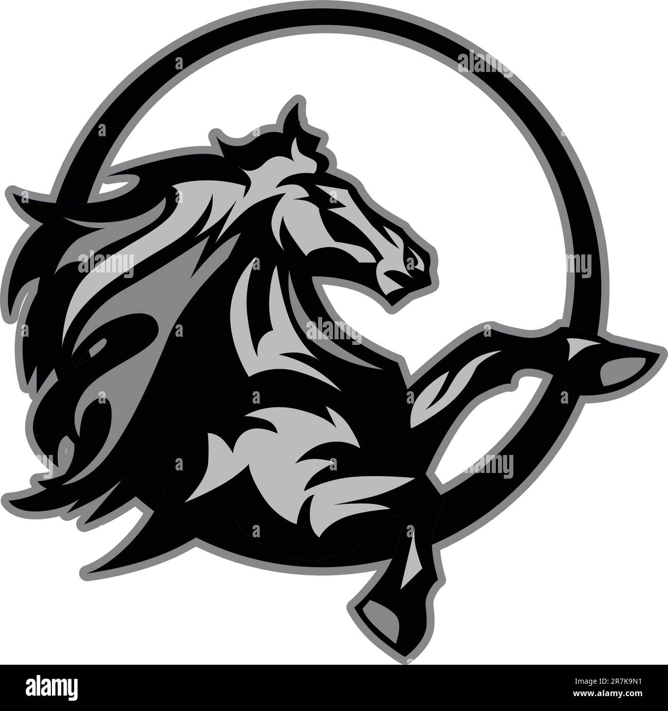 Colt bronco Black and White Stock Photos & Images - Alamy