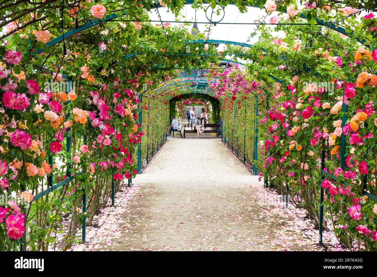 Rose arbour hi-res stock photography and images - Alamy