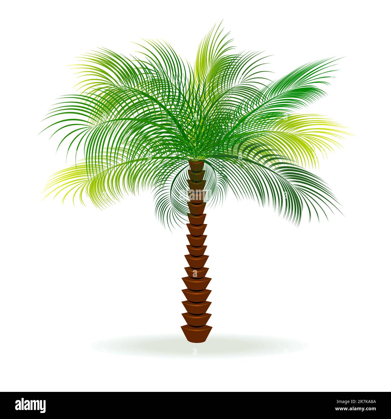 Image of a palm tree on a white background. Vector EPS 8 Stock Vector ...