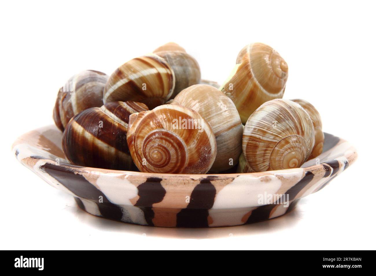 snails (french gourmet food) isolated on the white background Stock ...