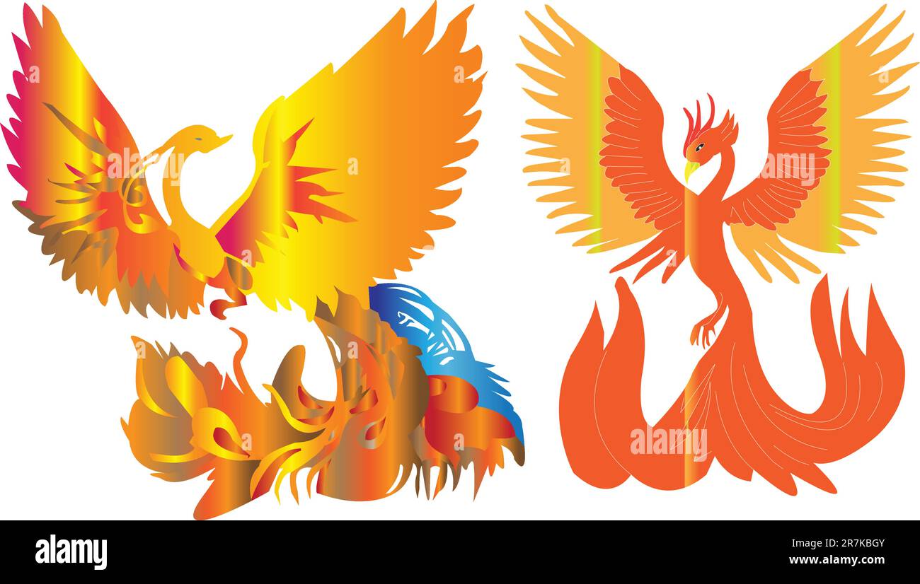 phoenix bird - vector Stock Vector Image & Art - Alamy