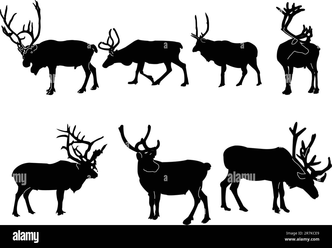 reindeer collection - vector Stock Vector Image & Art - Alamy
