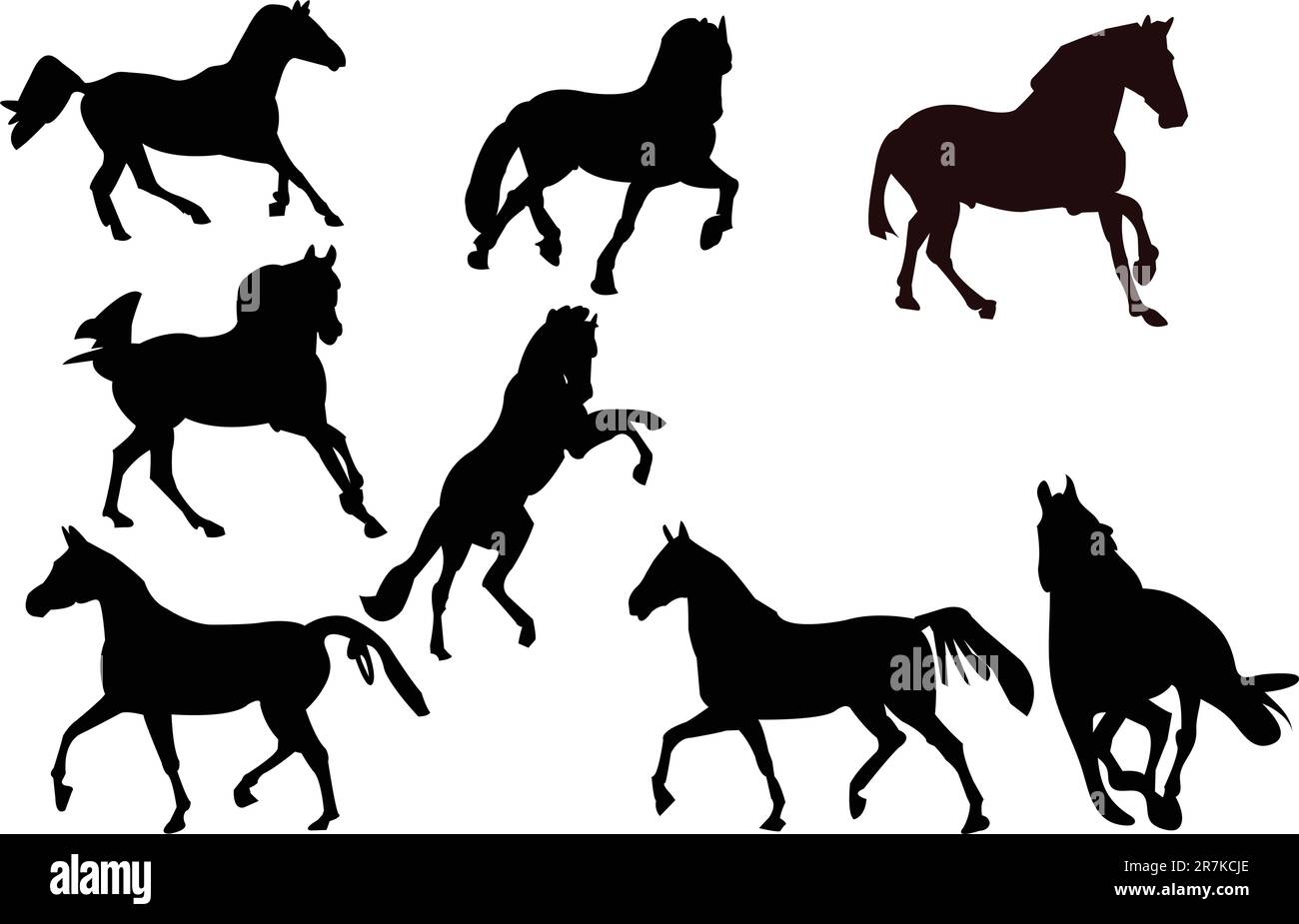 Rider and horses Cut Out Stock Images & Pictures - Alamy