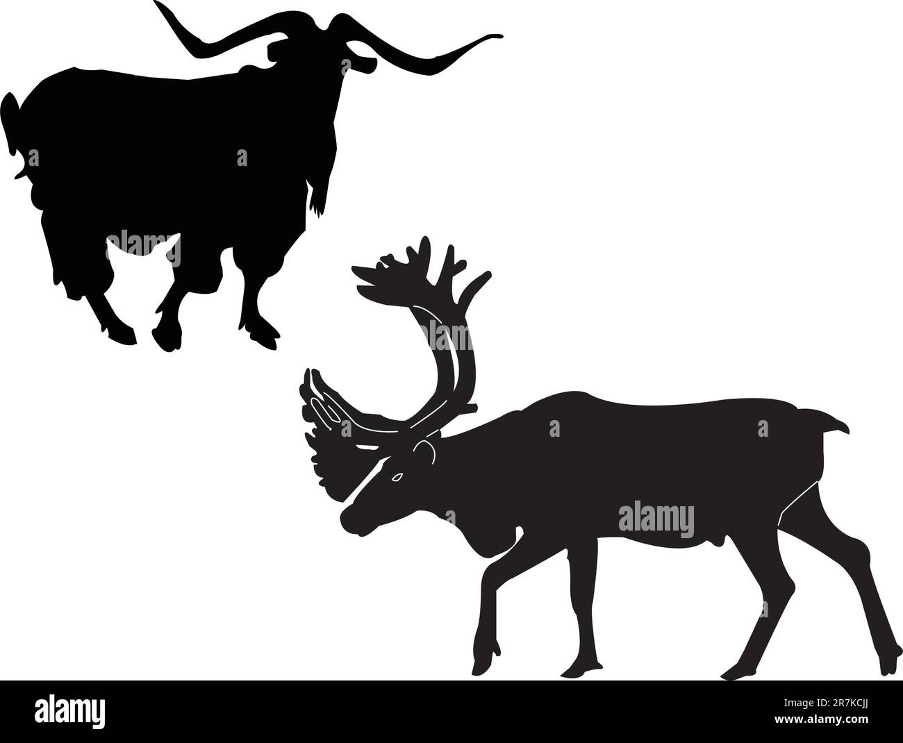 Reindeer side profile hi-res stock photography and images - Alamy