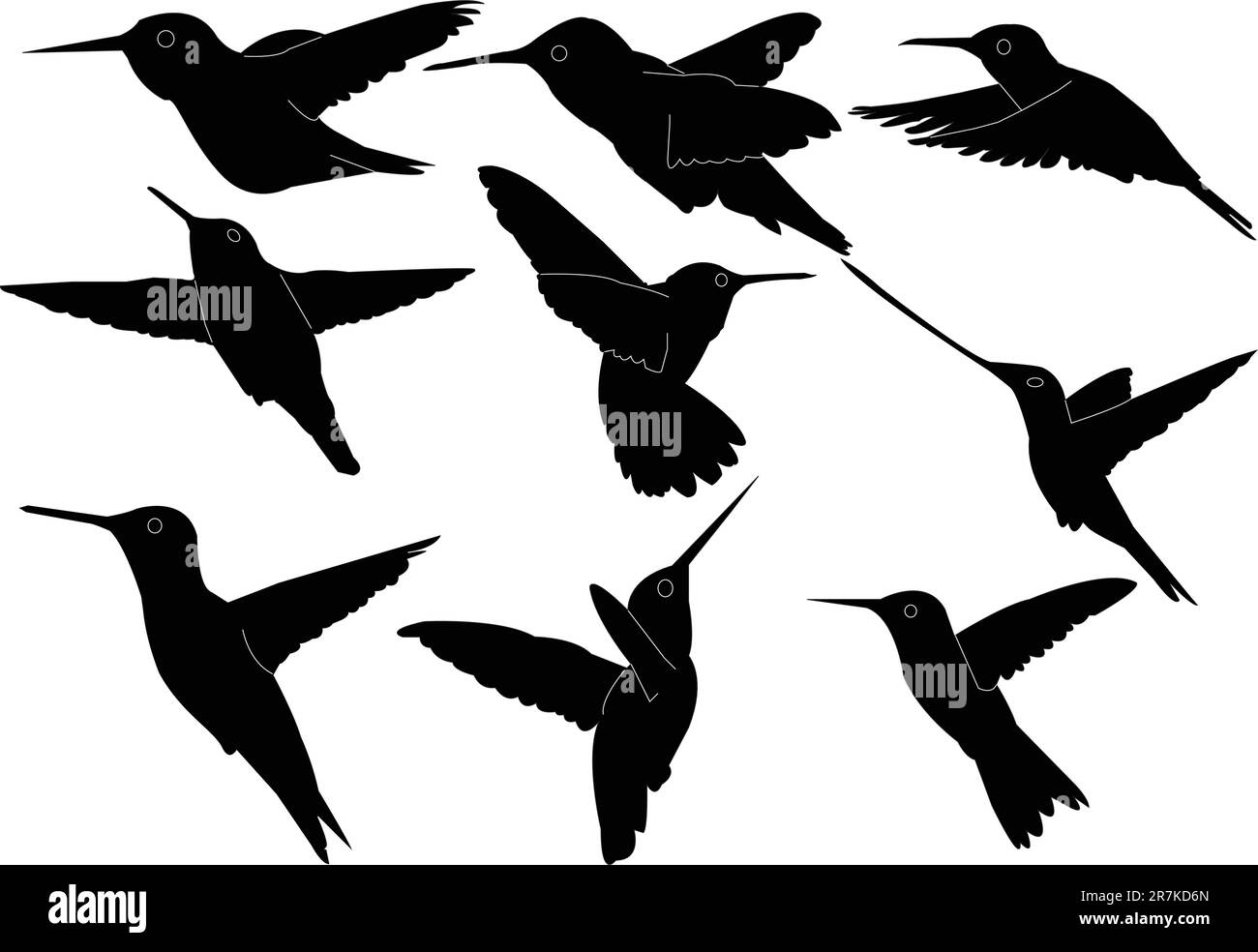 Tropical bird life Stock Vector Images - Alamy