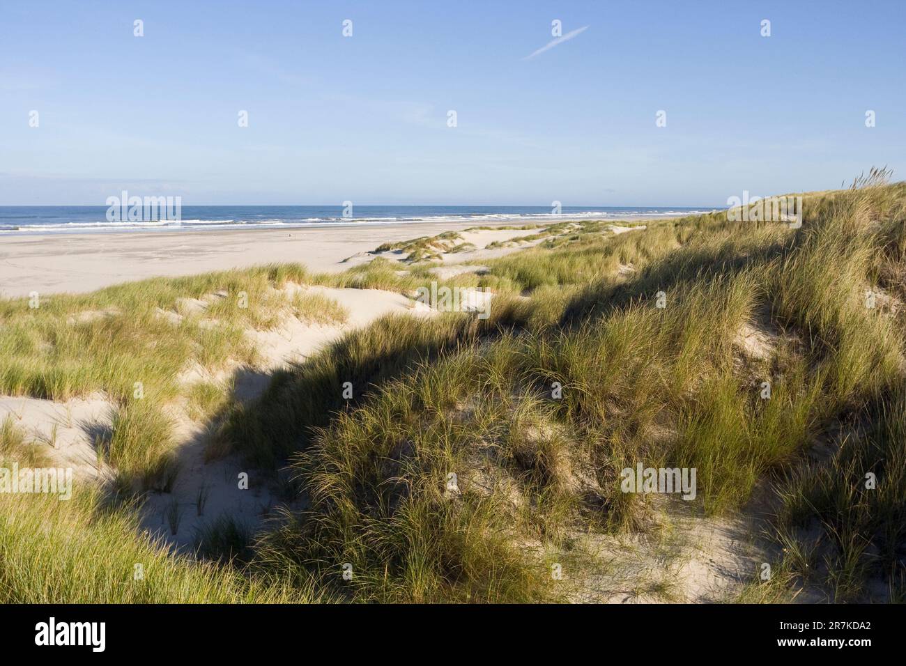 Uitzicht over het strand vanuit duinen; View at beach from dunes Stock ...