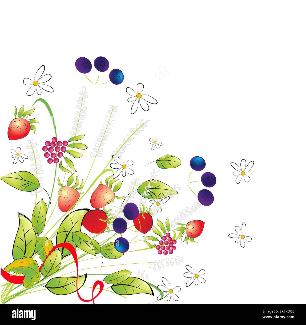 Blackberry flowers fruit Stock Vector Images - Alamy