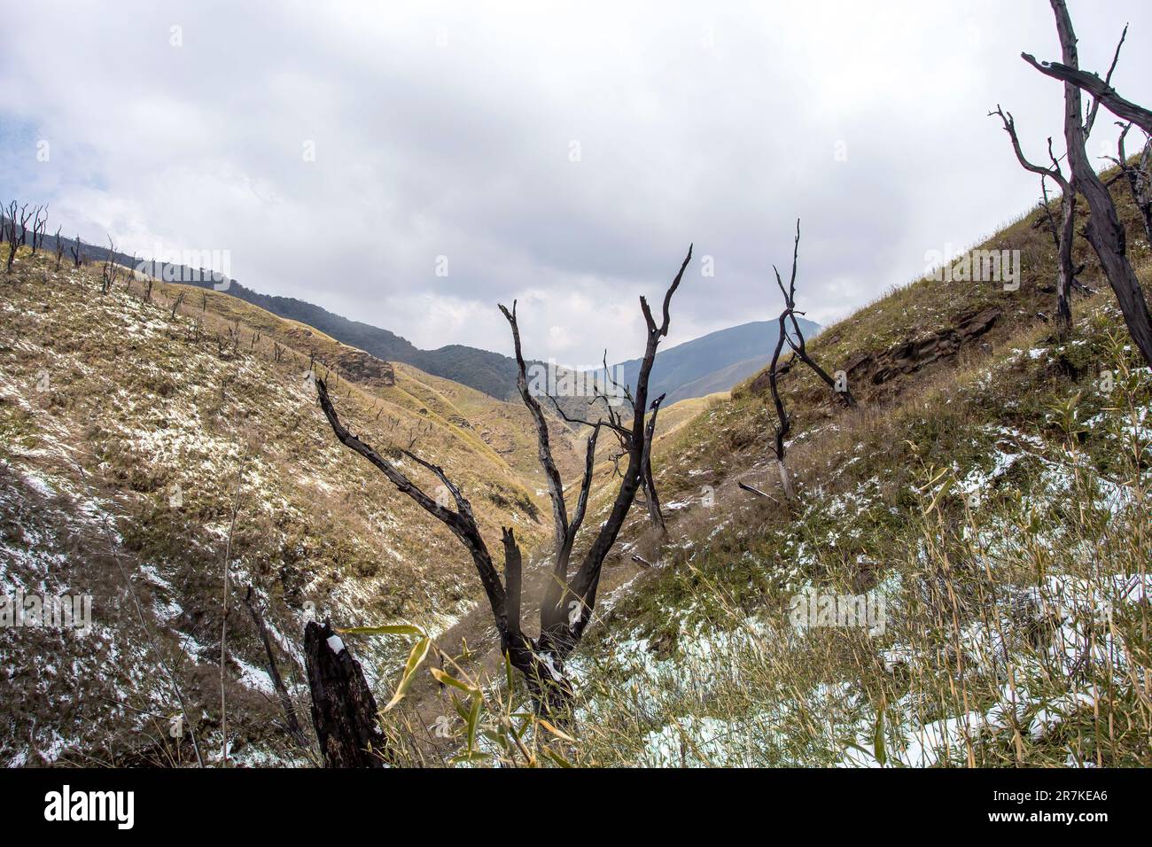 The Dzukou valley (without its famous flowers Stock Photo - Alamy