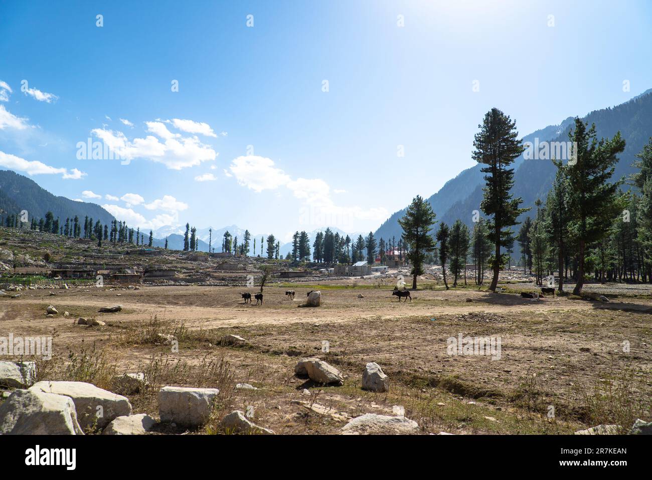 Kumrat Valley, The Panjkora River, Which Originates in the Hindu Kush ...