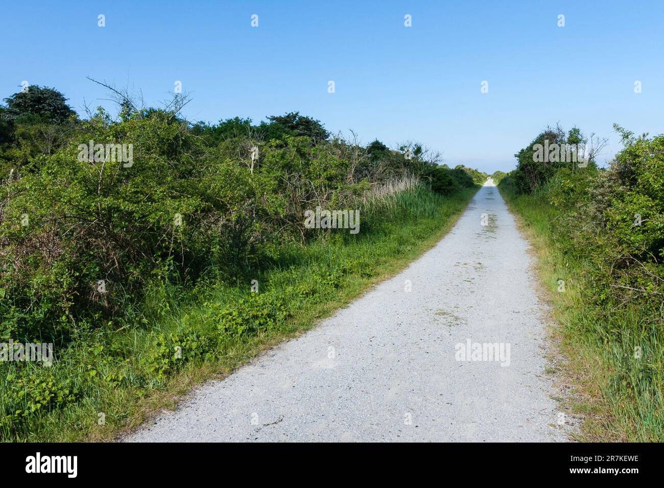 Shell path hi-res stock photography and images - Alamy