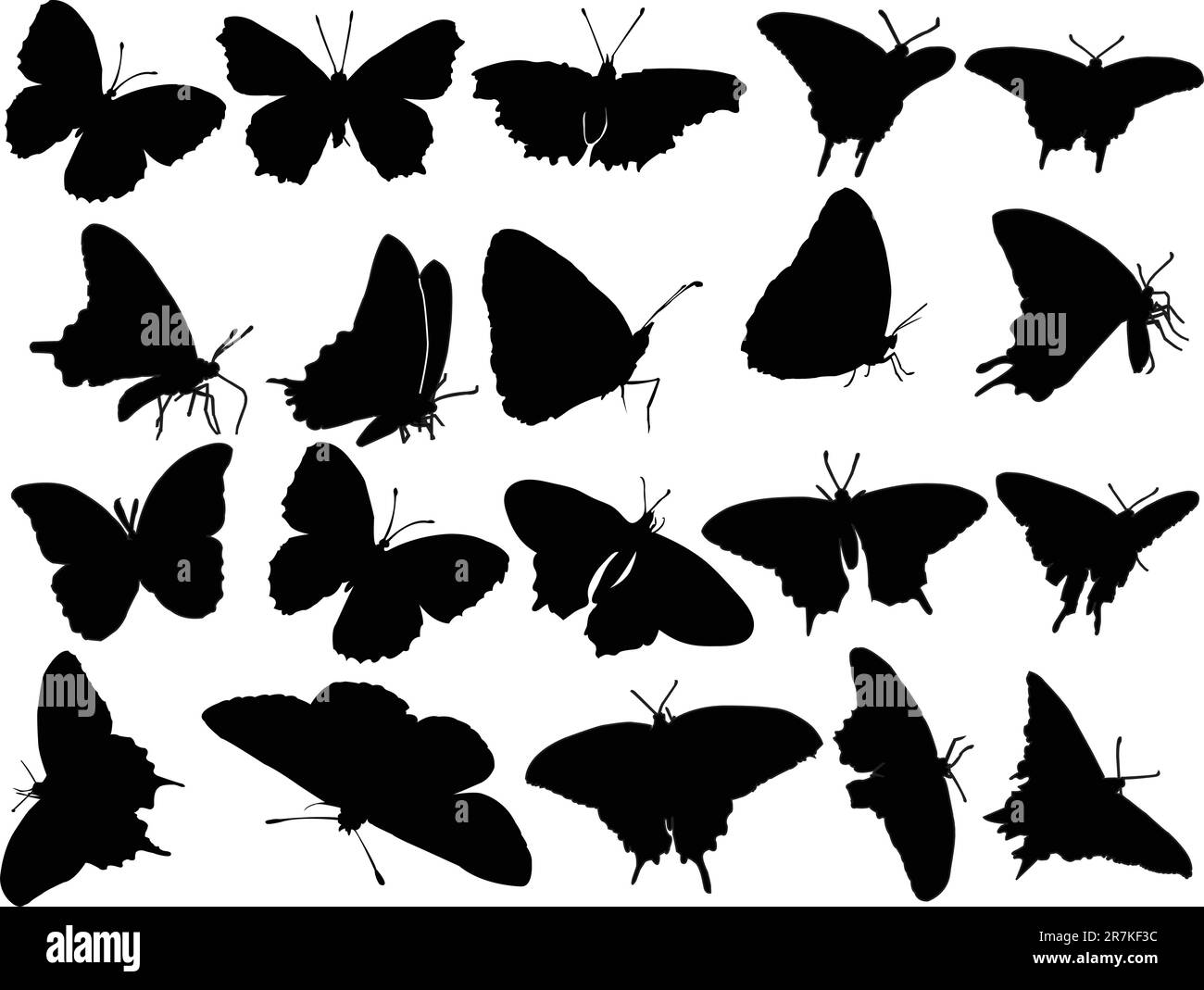 butterflies collection - vector Stock Vector Image & Art - Alamy