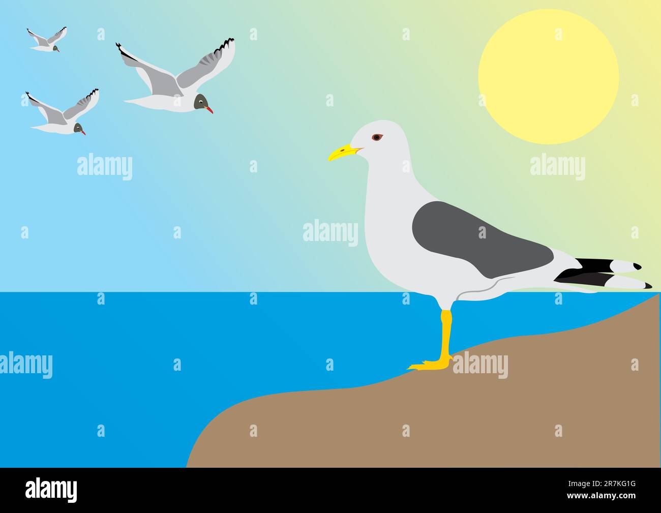 Seagull reproduction Stock Vector Images - Alamy