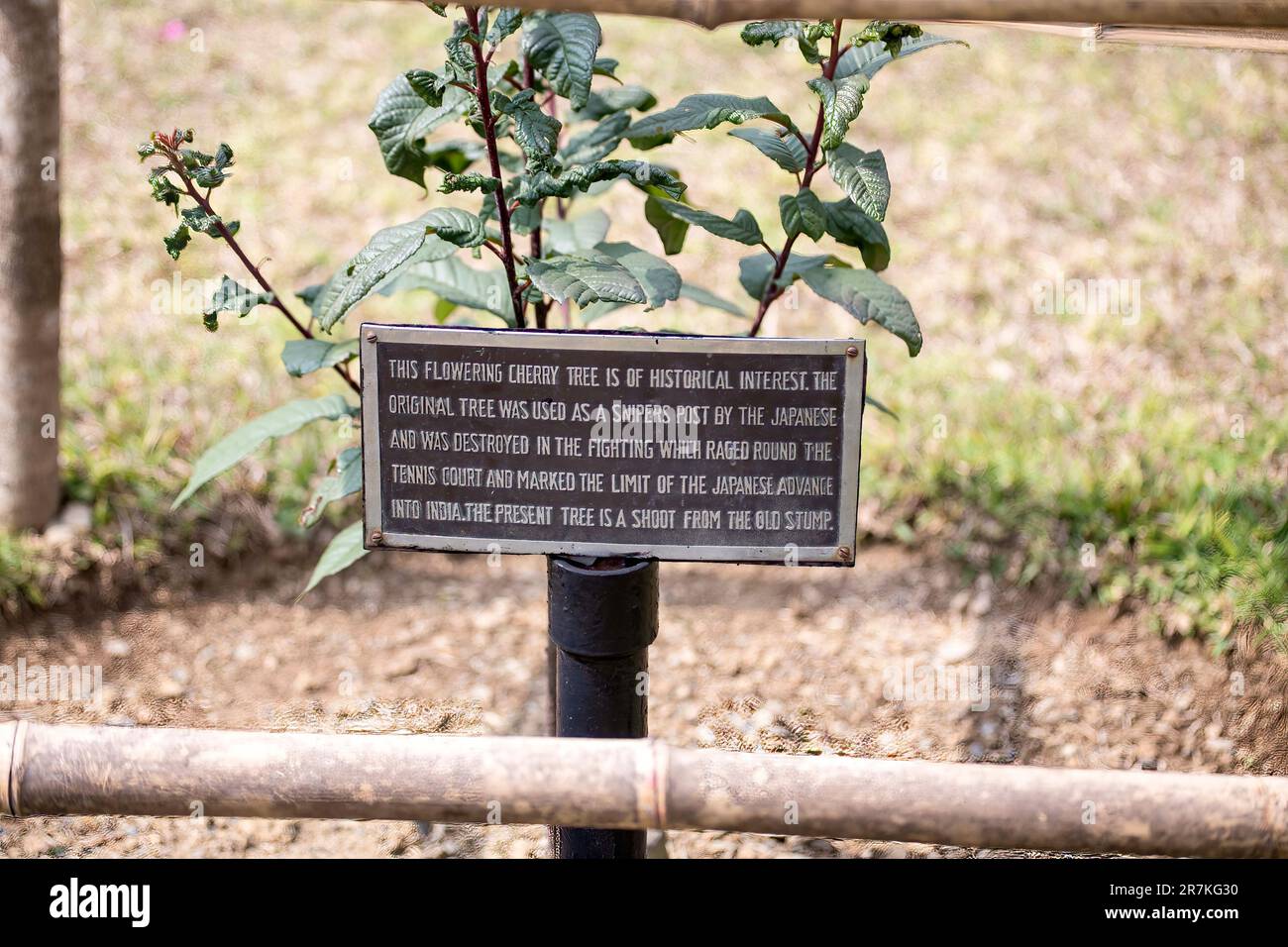 The forgotten battle Stock Photo - Alamy
