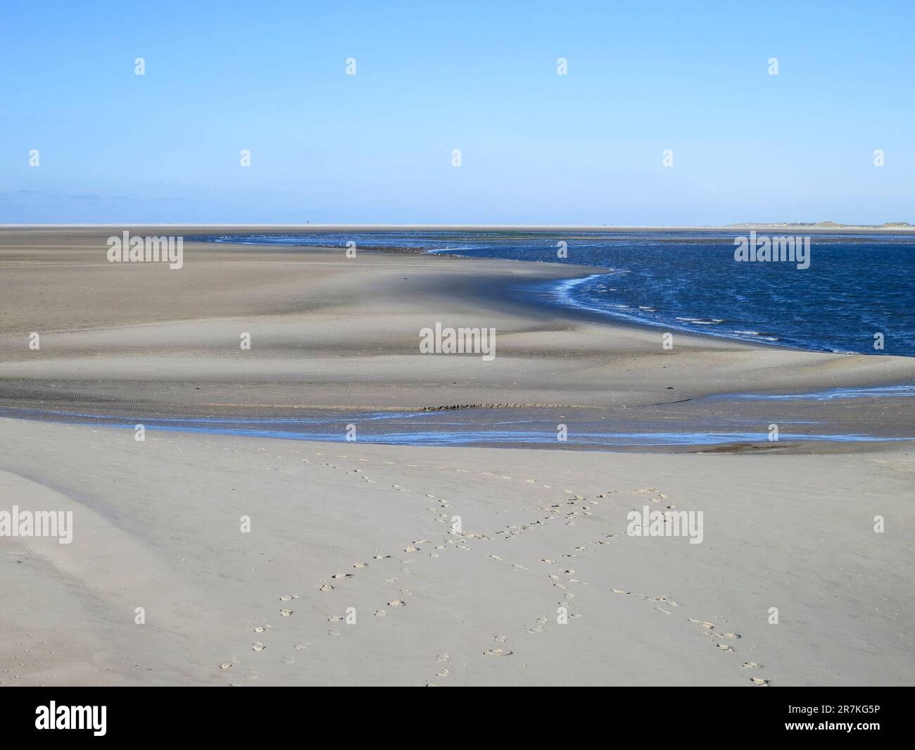 Weids uitzicht over het strand met bandensporen, Extensive view at the ...