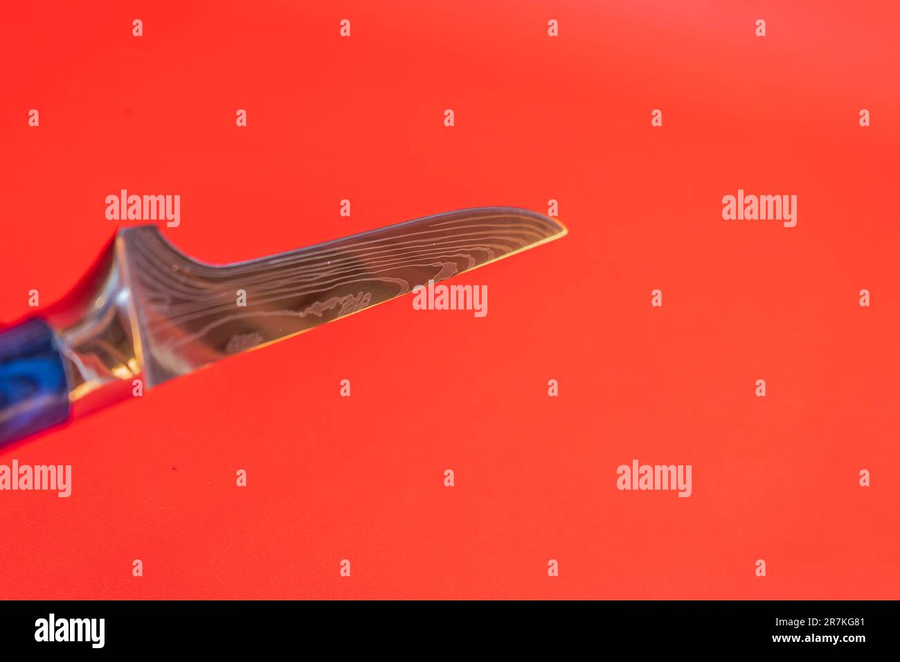 The Modern Blue Kitchen Knife is a perfect blend of style and ...