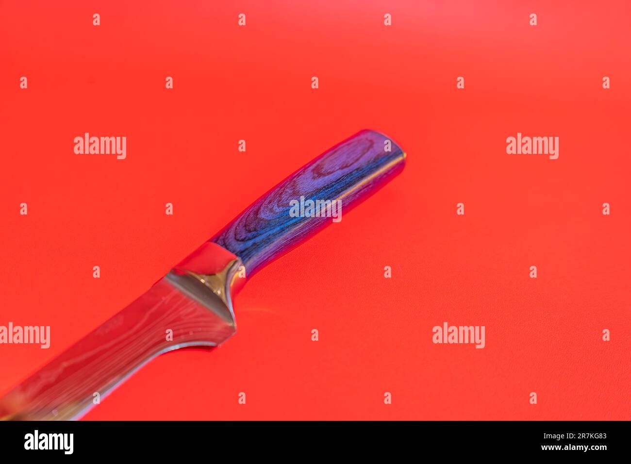 The Modern Blue Kitchen Knife is a perfect blend of style and ...