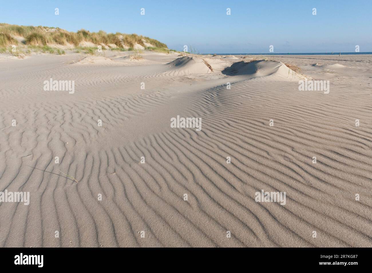 Zandstructuren op het strand, Sand structures at the beach Stock Photo ...