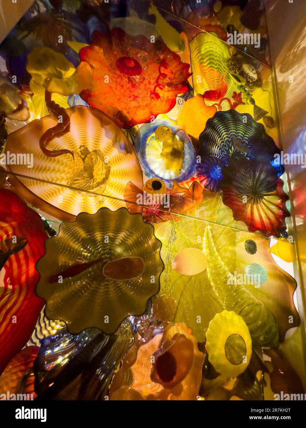 Naples, Florida, USA. 08 March 2023. Glass sculpture by Dale Chihuly on ...