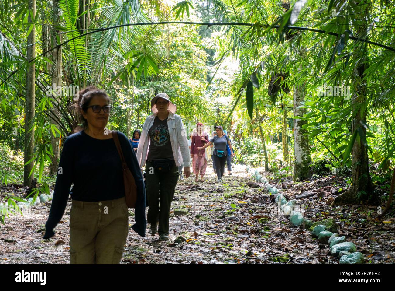 Woman forest therapy hi-res stock photography and images - Alamy