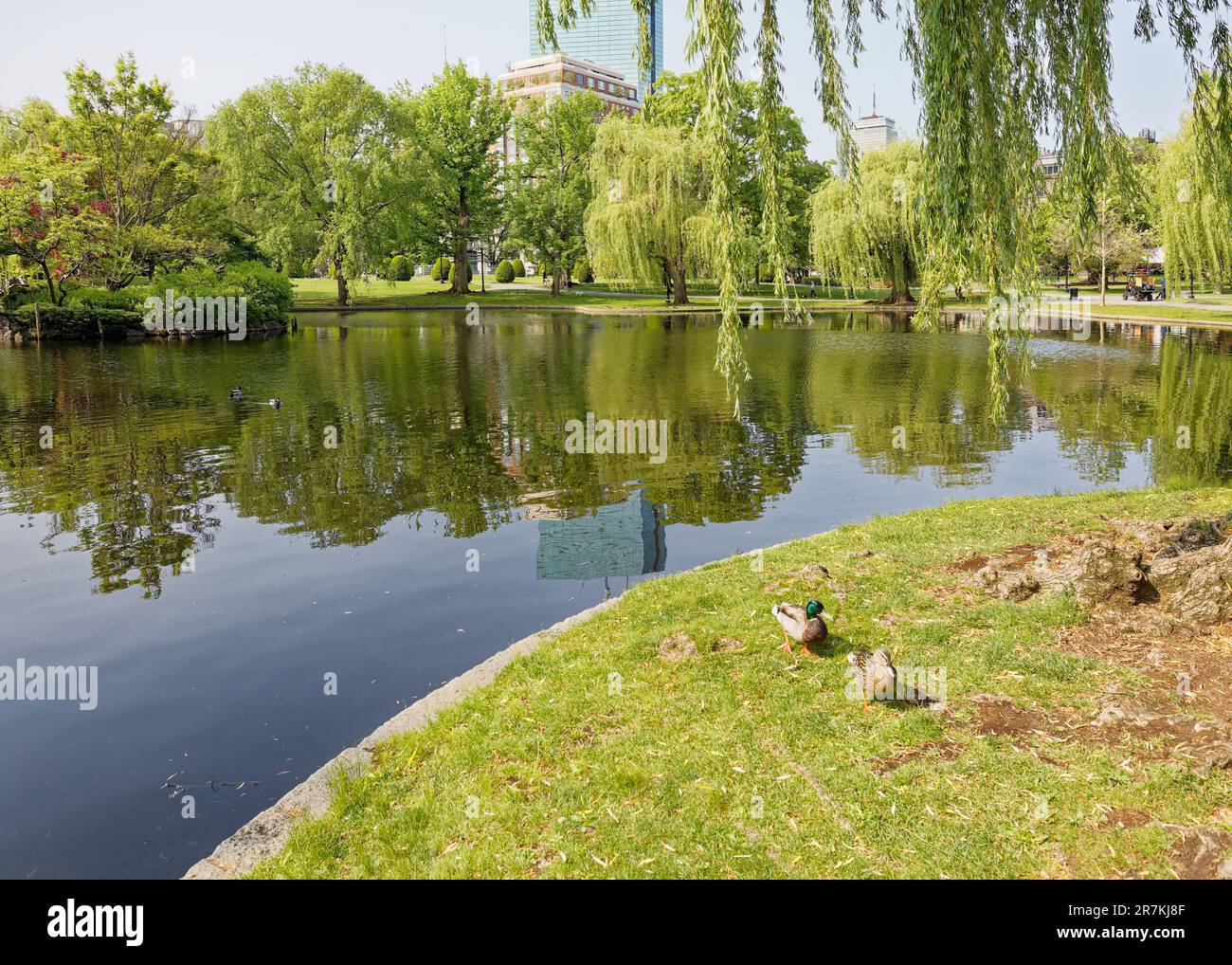 Back bay and public garden hi-res stock photography and images - Alamy