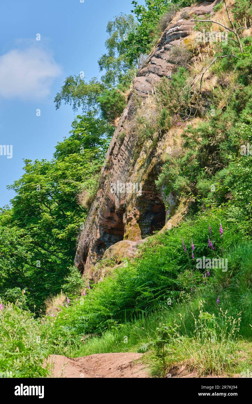 Kinver caves hi-res stock photography and images - Alamy