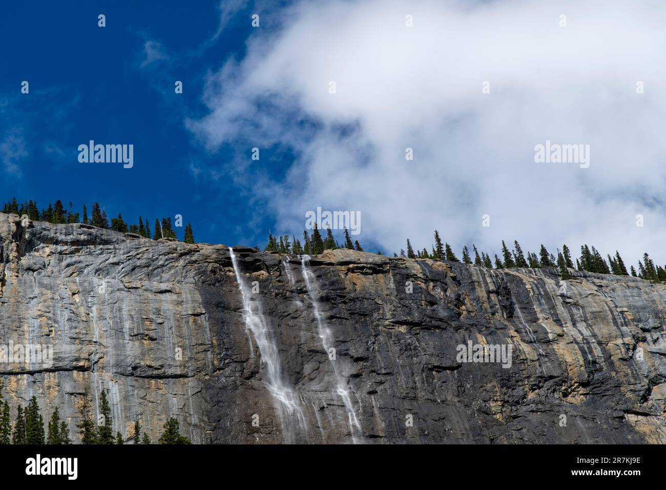 Low angle view of the cliffs of the Weeping Wall on the western base of ...
