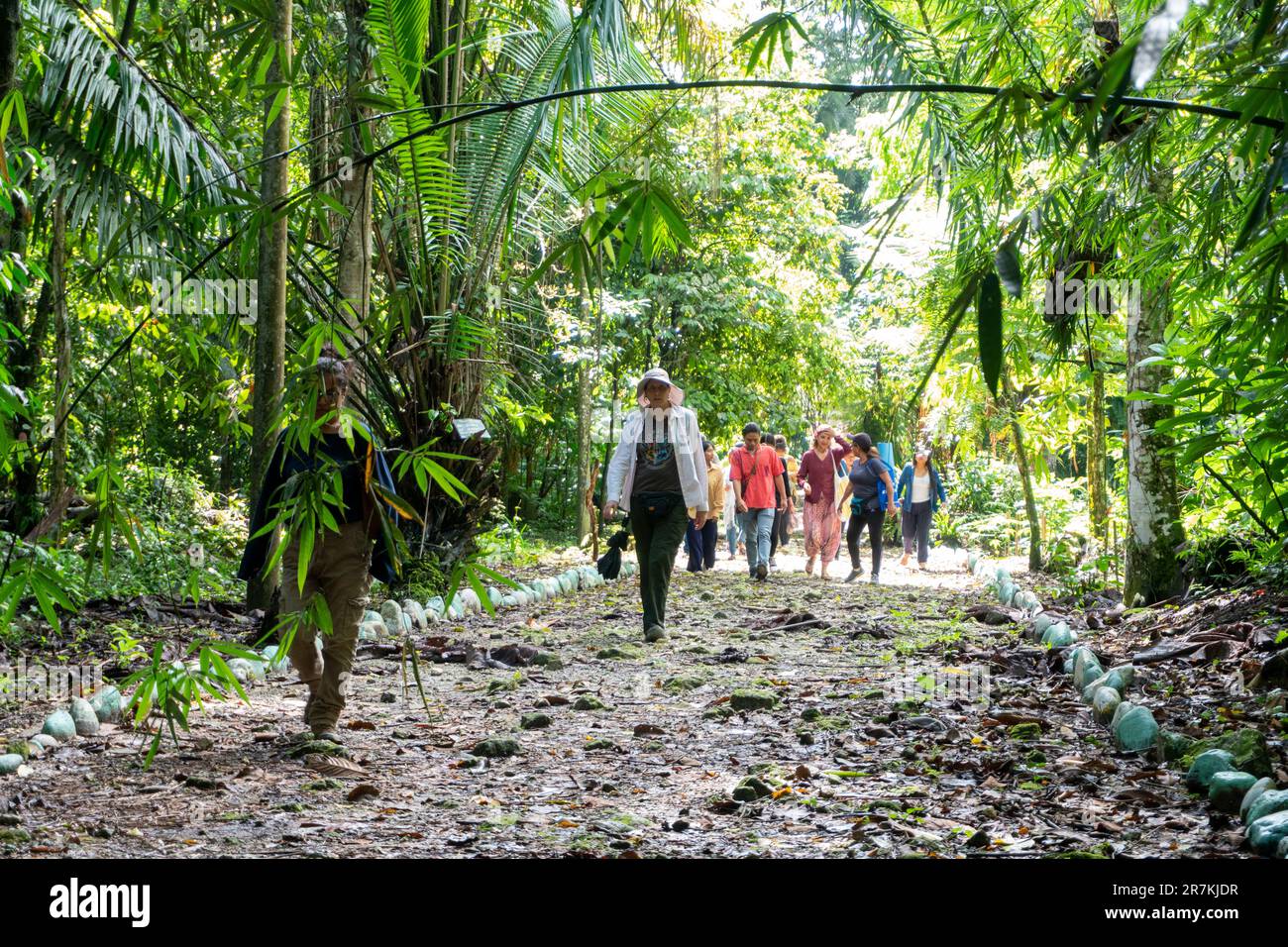 Wellbeing in the amazon forest hi-res stock photography and images - Alamy