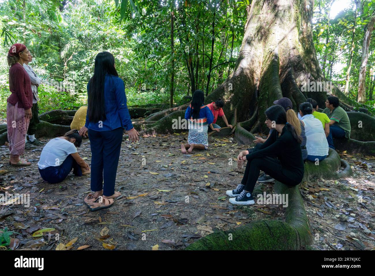 Wellbeing in the amazon forest hi-res stock photography and images - Alamy