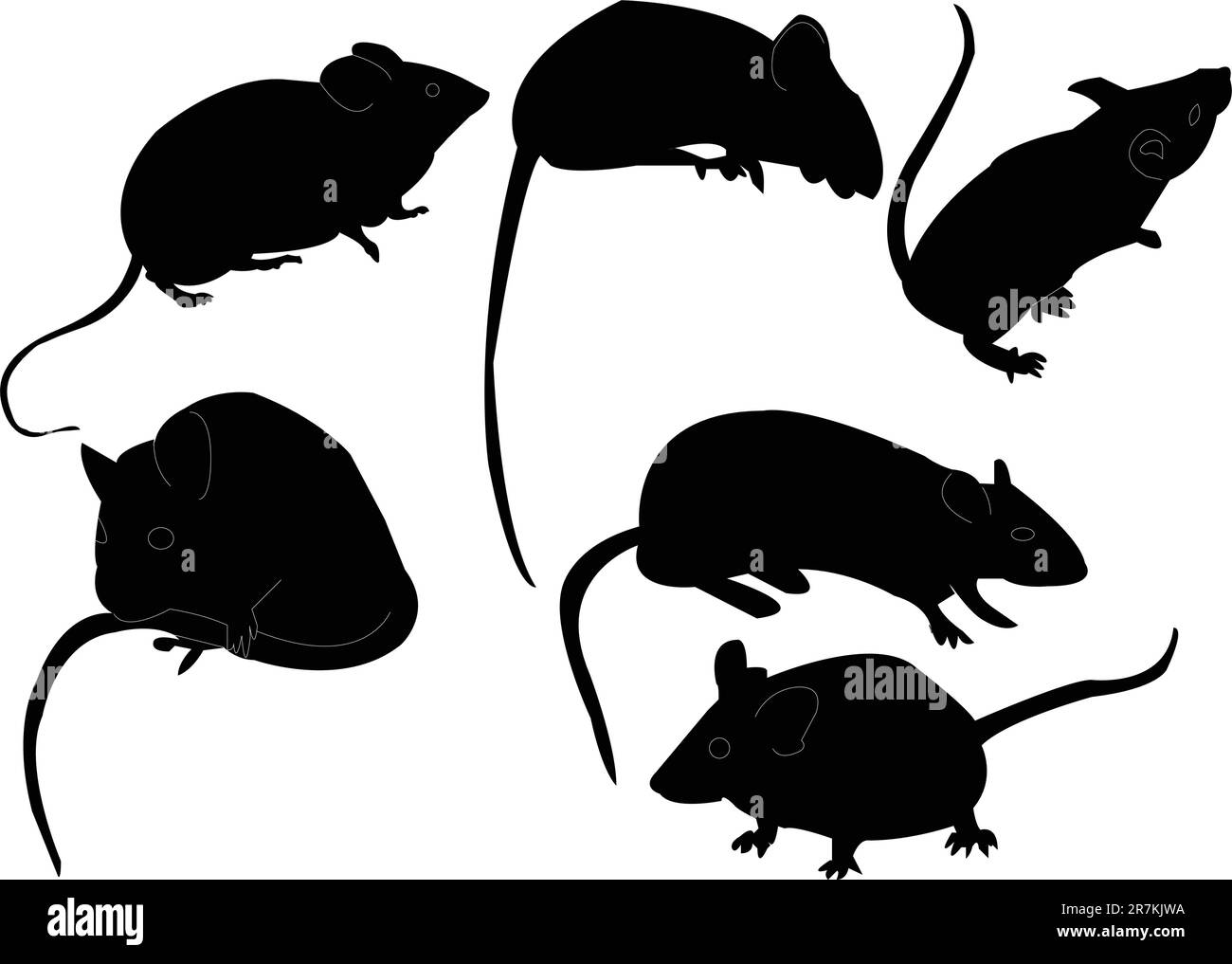 Laboratory mouse and eye Stock Vector Images - Alamy