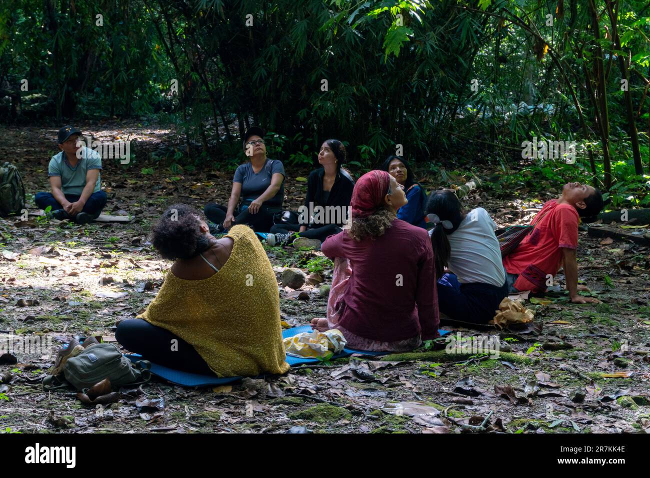 Wellbeing in the amazon forest hi-res stock photography and images - Alamy