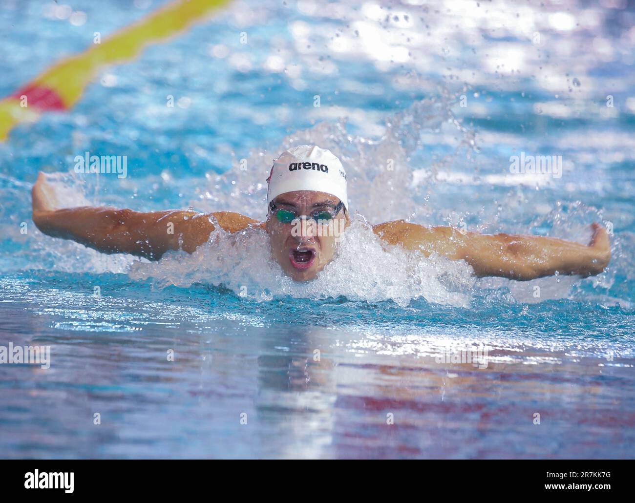 SECCHI Clement of CN Marseille MEN Heat 100 M Butterfly during the ...