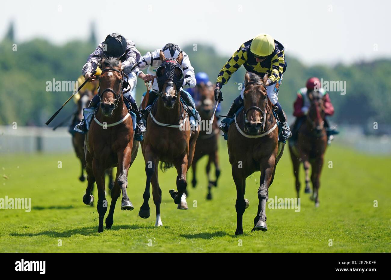 June meeting york racecourse hi-res stock photography and images - Alamy