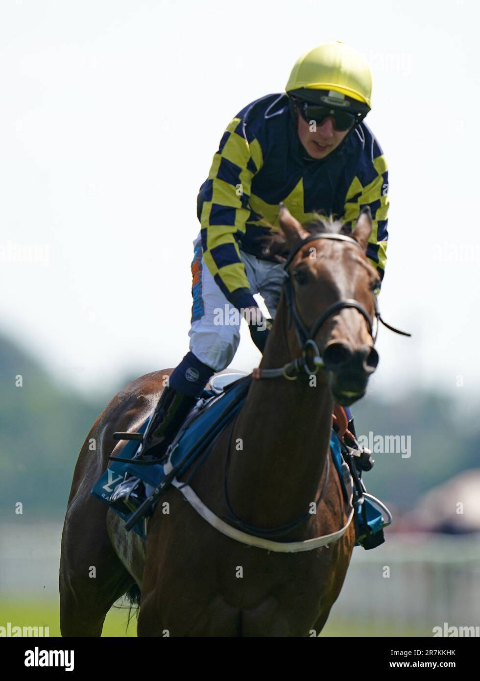 June meeting york racecourse hi-res stock photography and images - Alamy