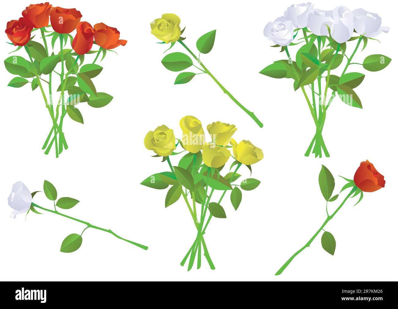 Vector illustration set of different colorful roses. All roses are ...