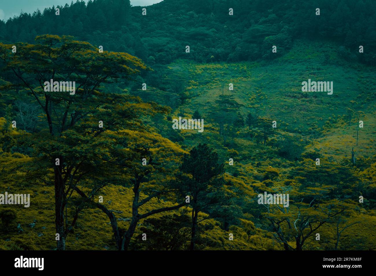 Green mountain ranges dramatic hi-res stock photography and images - Alamy