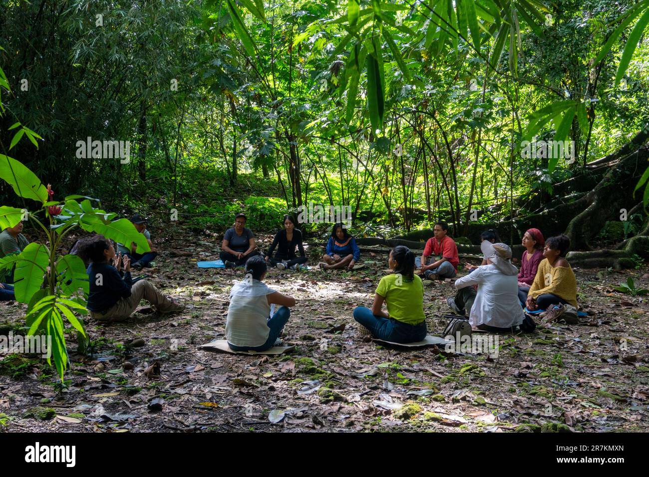 group of people practicing wellbeing in the amazon forest Stock Photo ...