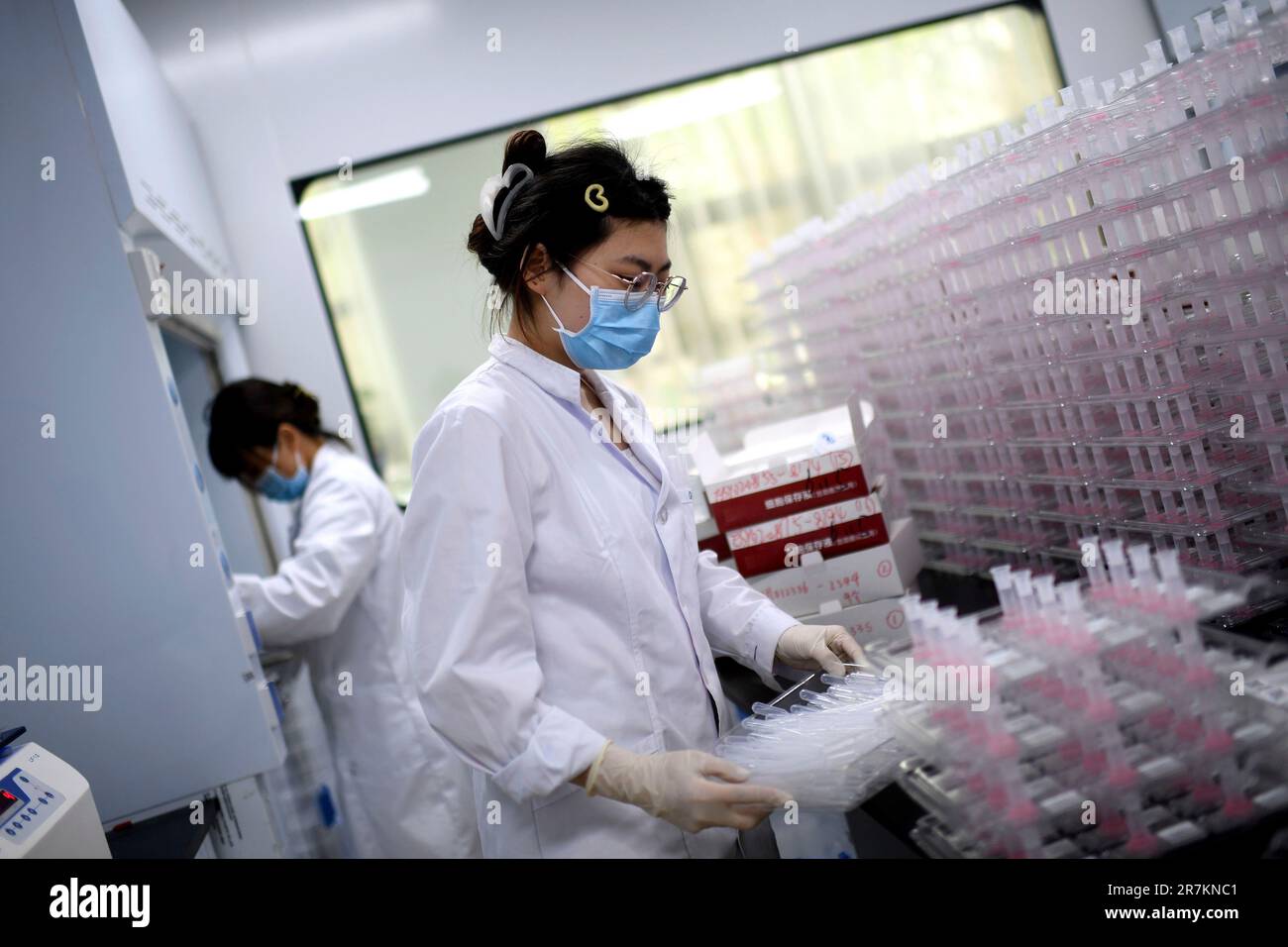 A worker prepares samples for artificial intelligence-assisted cytology ...