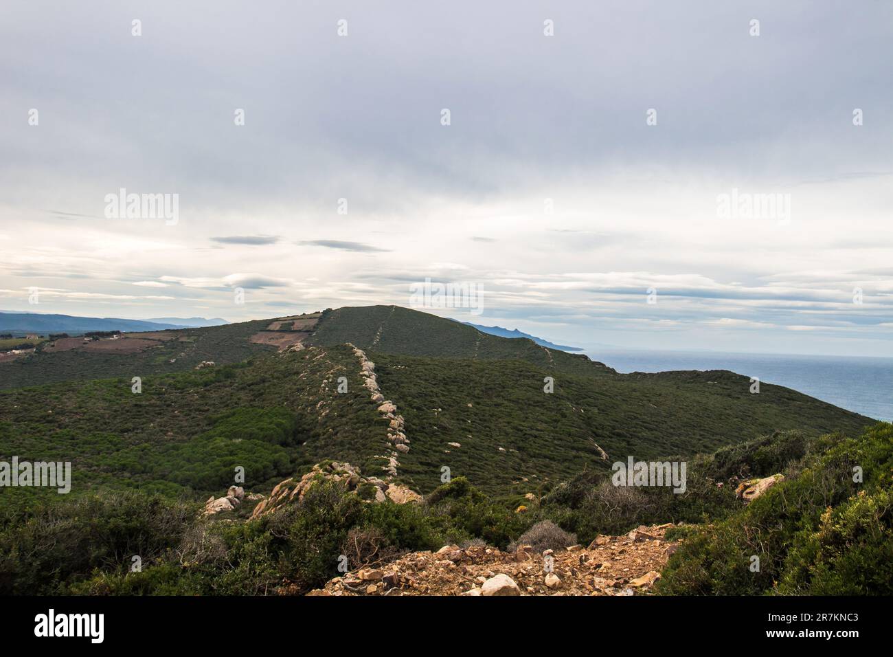 Forested wonders hi-res stock photography and images - Alamy