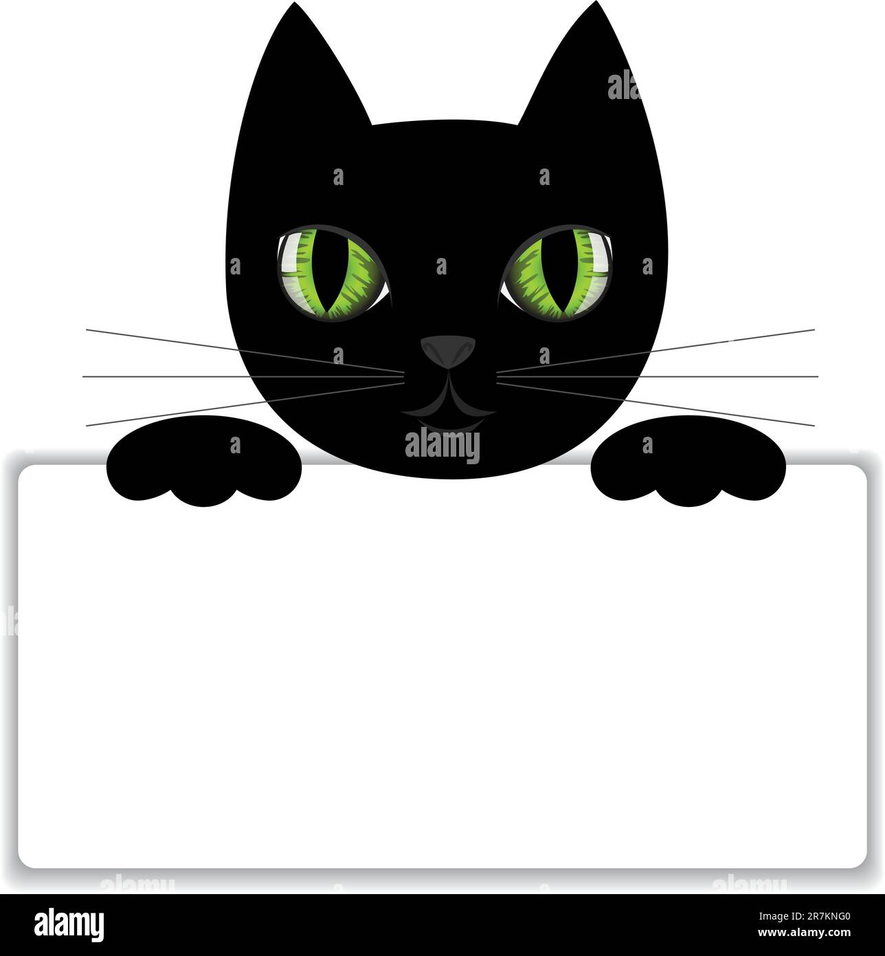 Paws cat close up Cut Out Stock Images & Pictures - Alamy