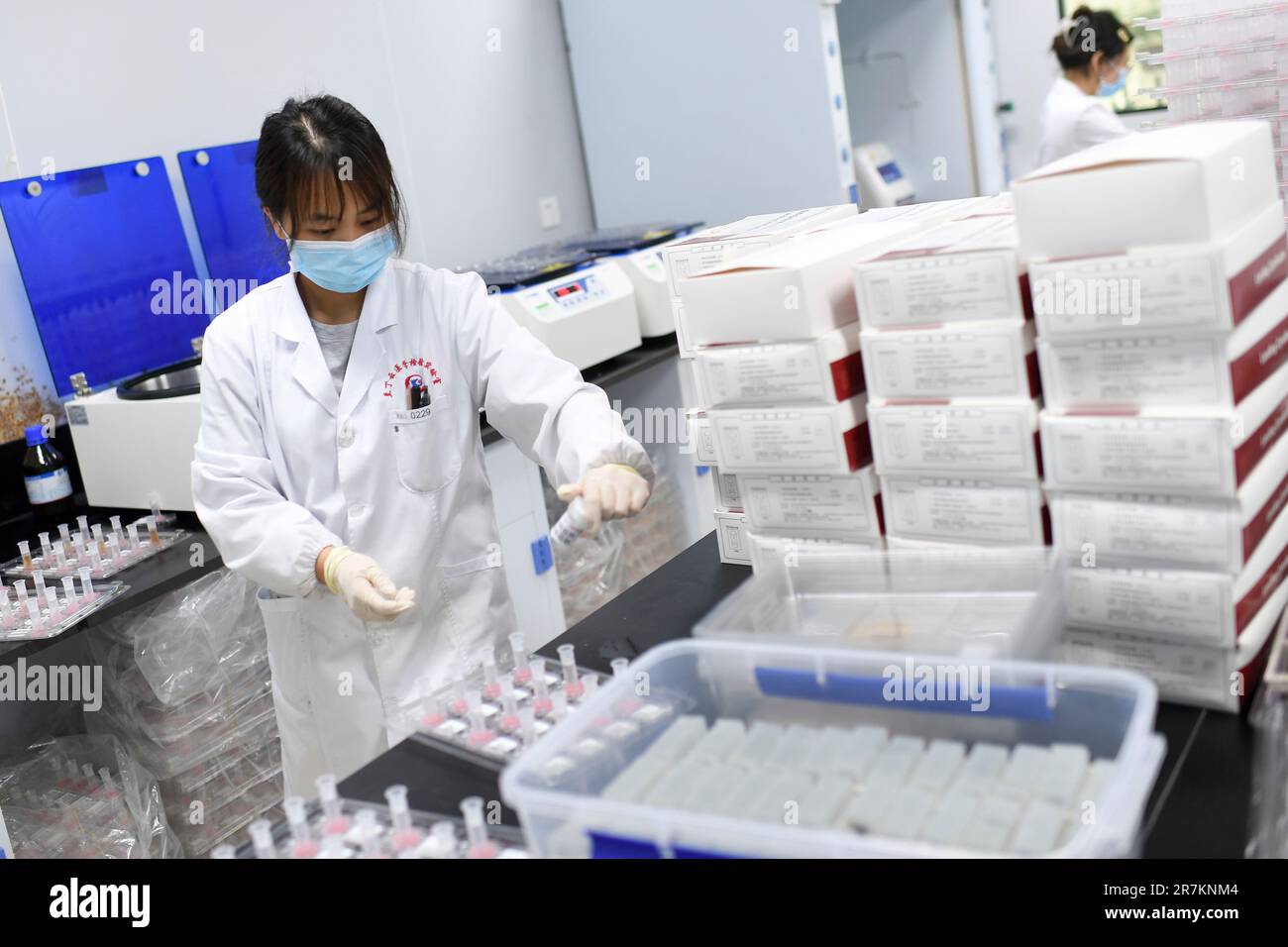 A worker prepares samples for artificial intelligence-assisted cytology ...