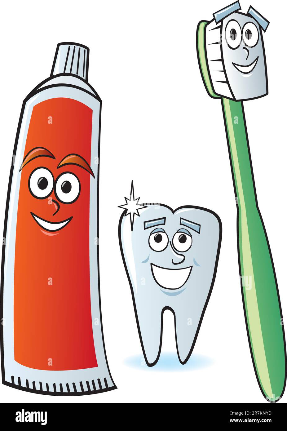 A cartoon toothbrush, toothpaste and clean sparkling tooth Stock Vector ...